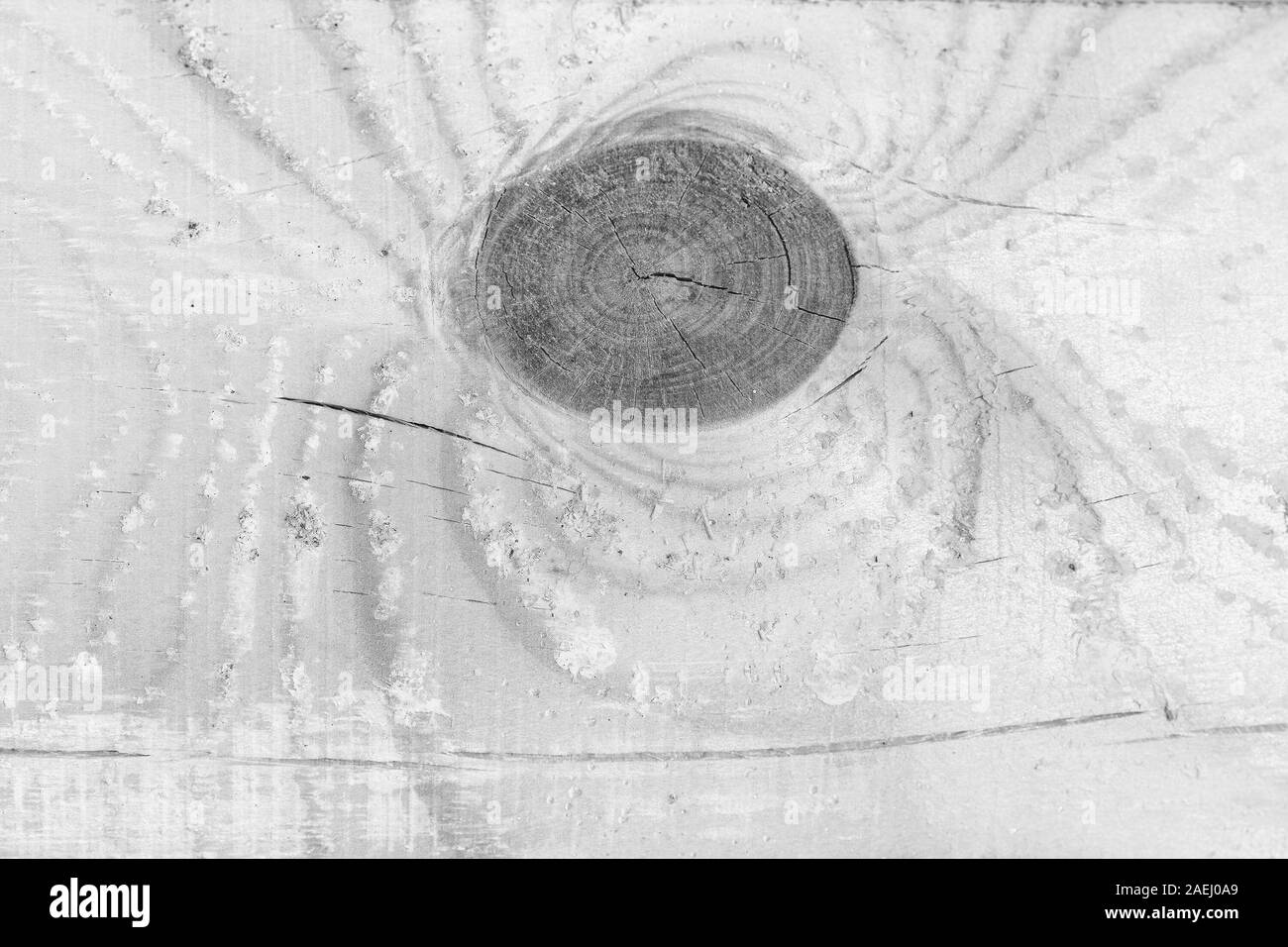 White wooden log as a background texture for design. Monochrome Stock ...