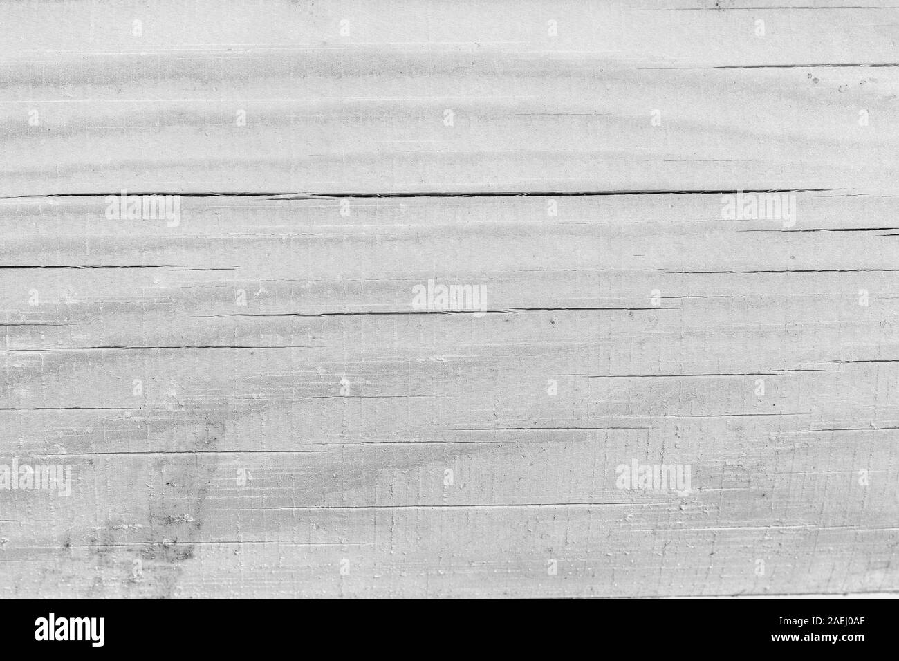 White wooden log as a background texture for design. Monochrome Stock ...