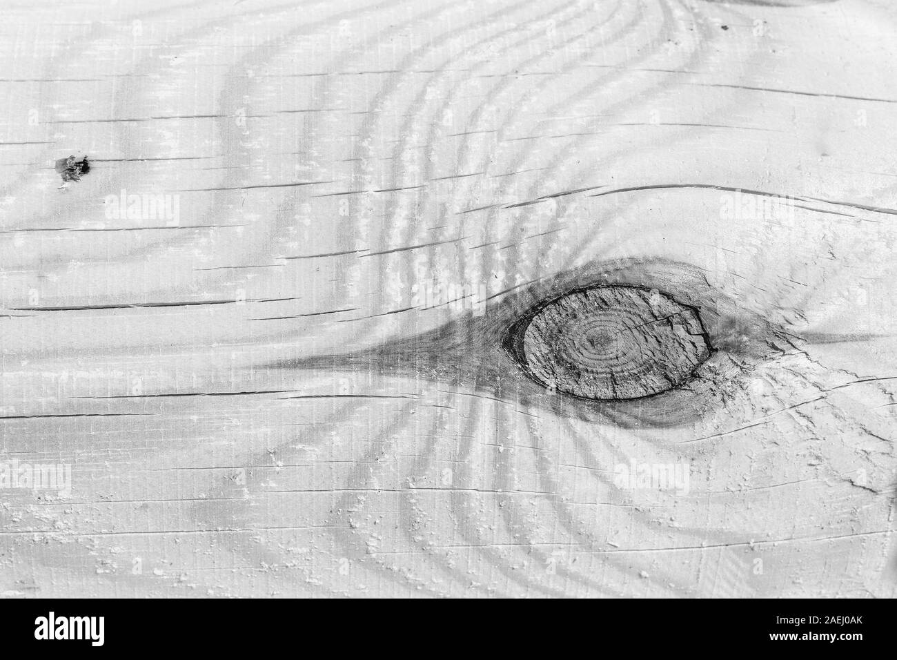 White wooden log as a background texture for design. Monochrome Stock ...