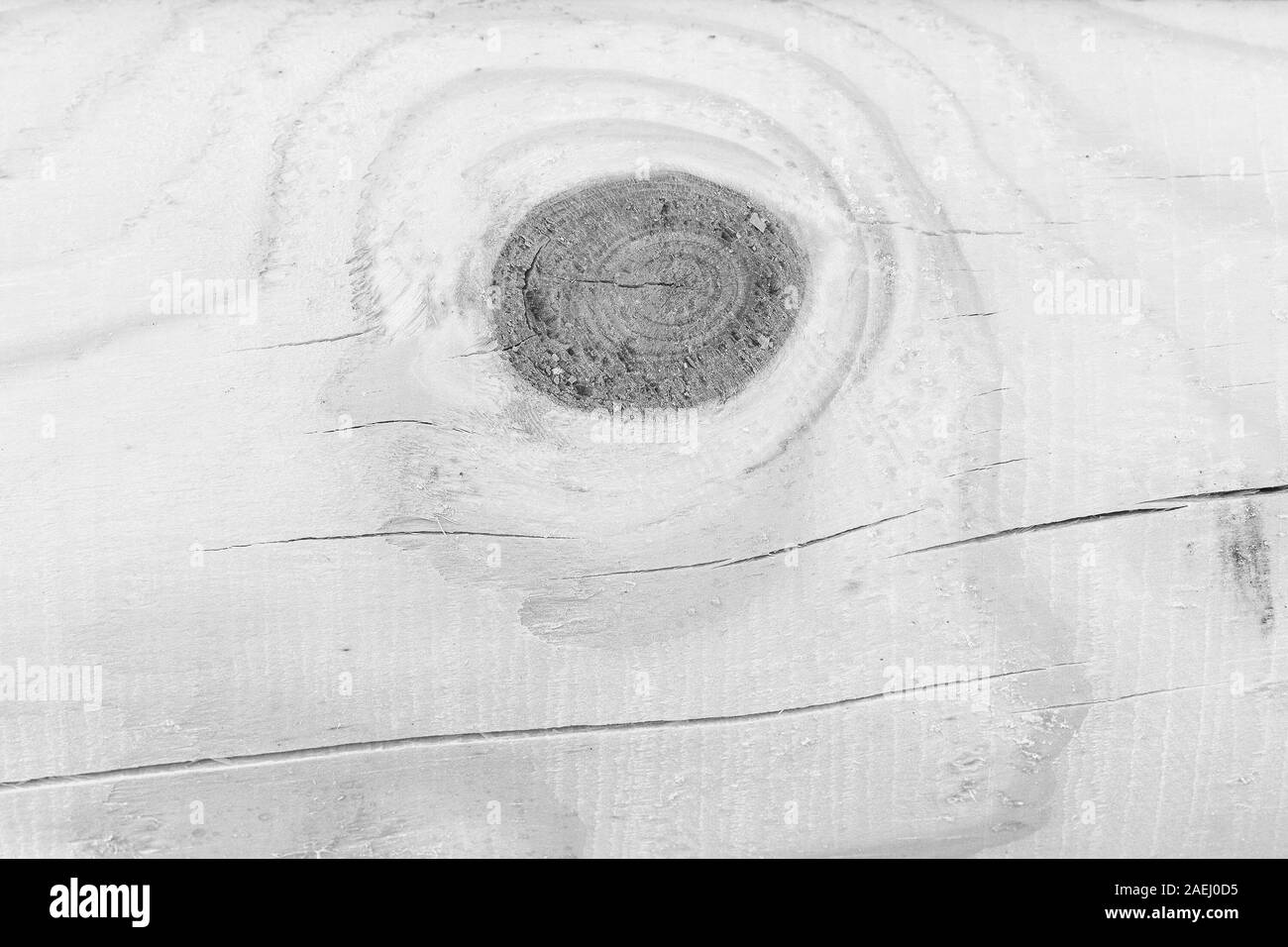 White wooden log as a background texture for design. Monochrome Stock ...