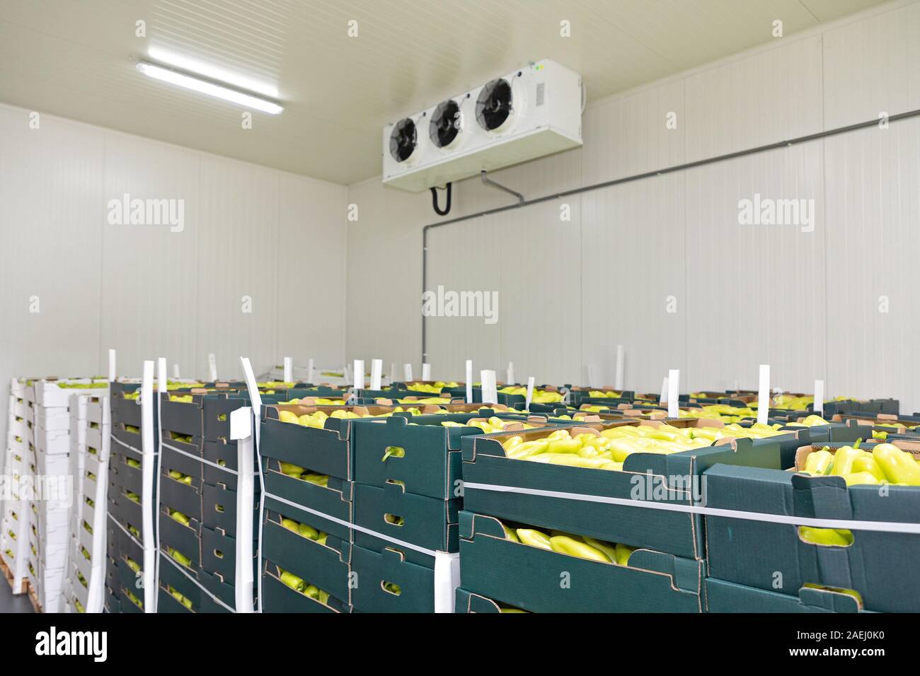 Cold storage warehouse interior hi-res stock photography and images - Alamy