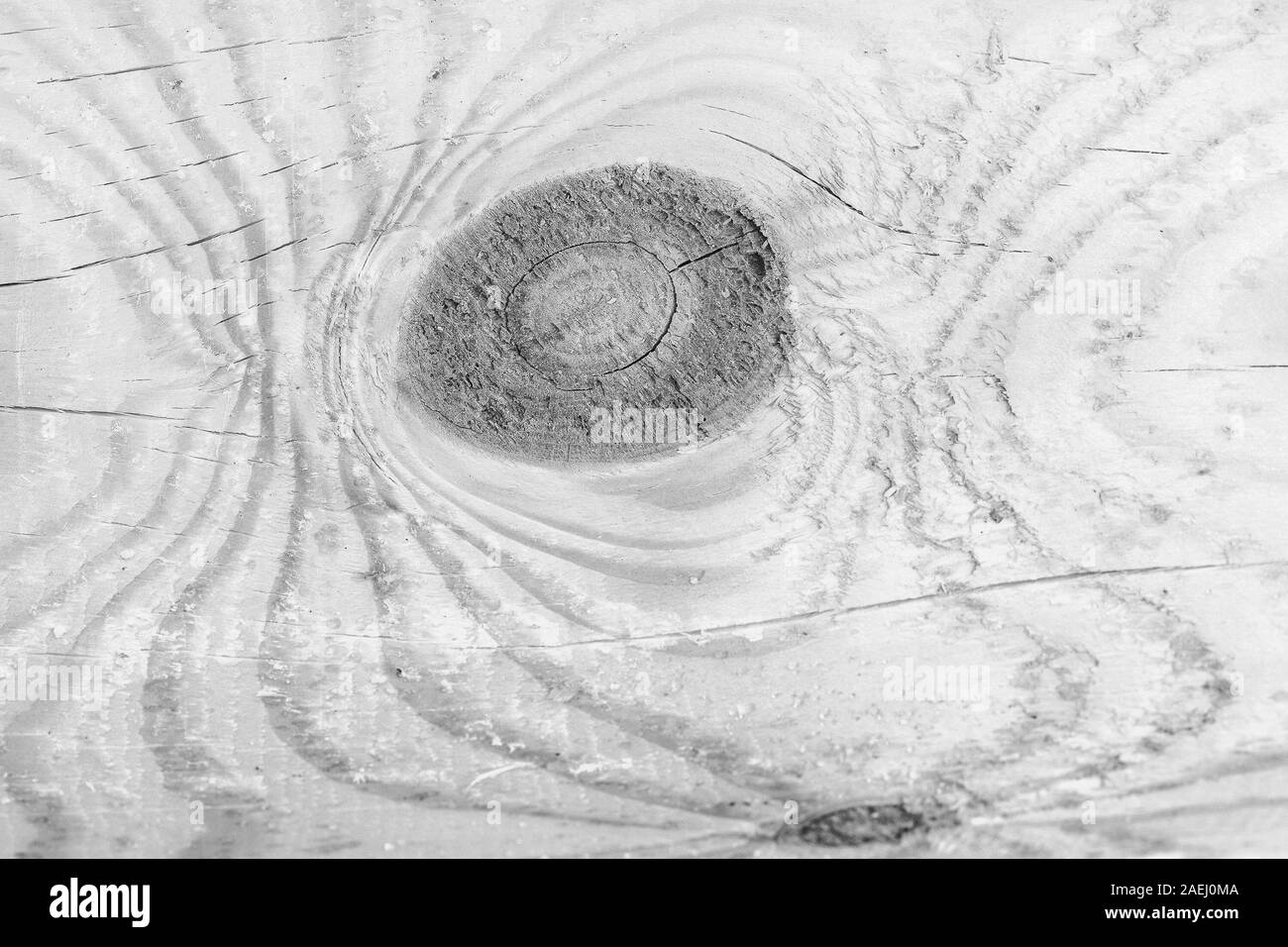 White wooden log as a background texture for design. Monochrome Stock ...