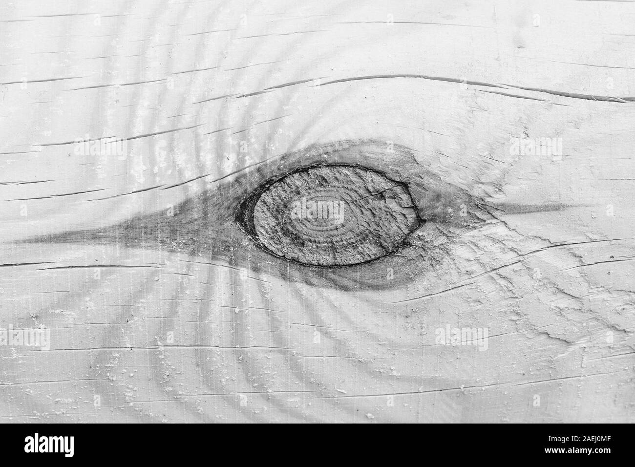 White wooden log as a background texture for design. Monochrome Stock ...