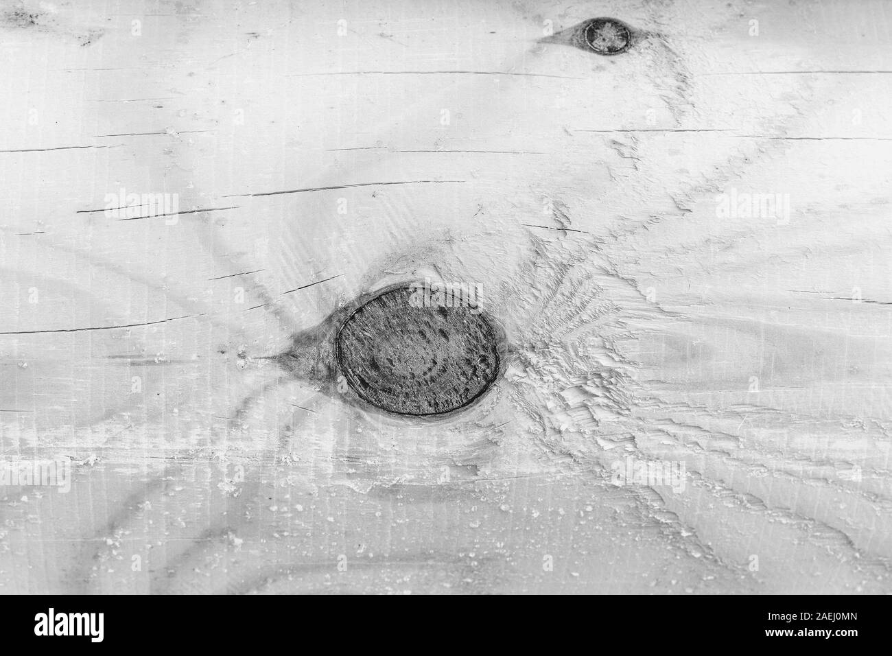 White wooden log as a background texture for design. Monochrome Stock ...