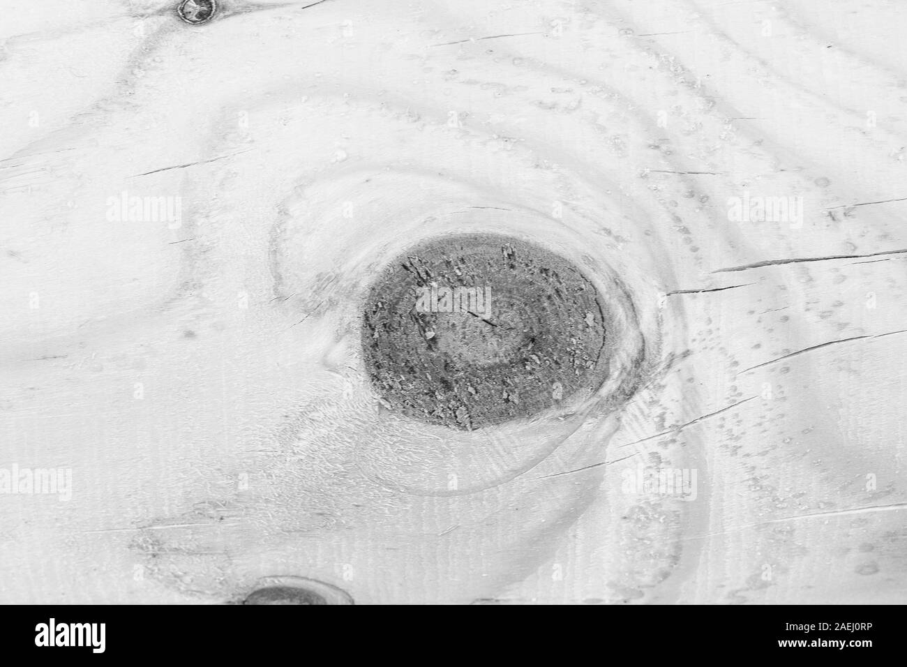 White wooden log as a background texture for design. Monochrome Stock ...