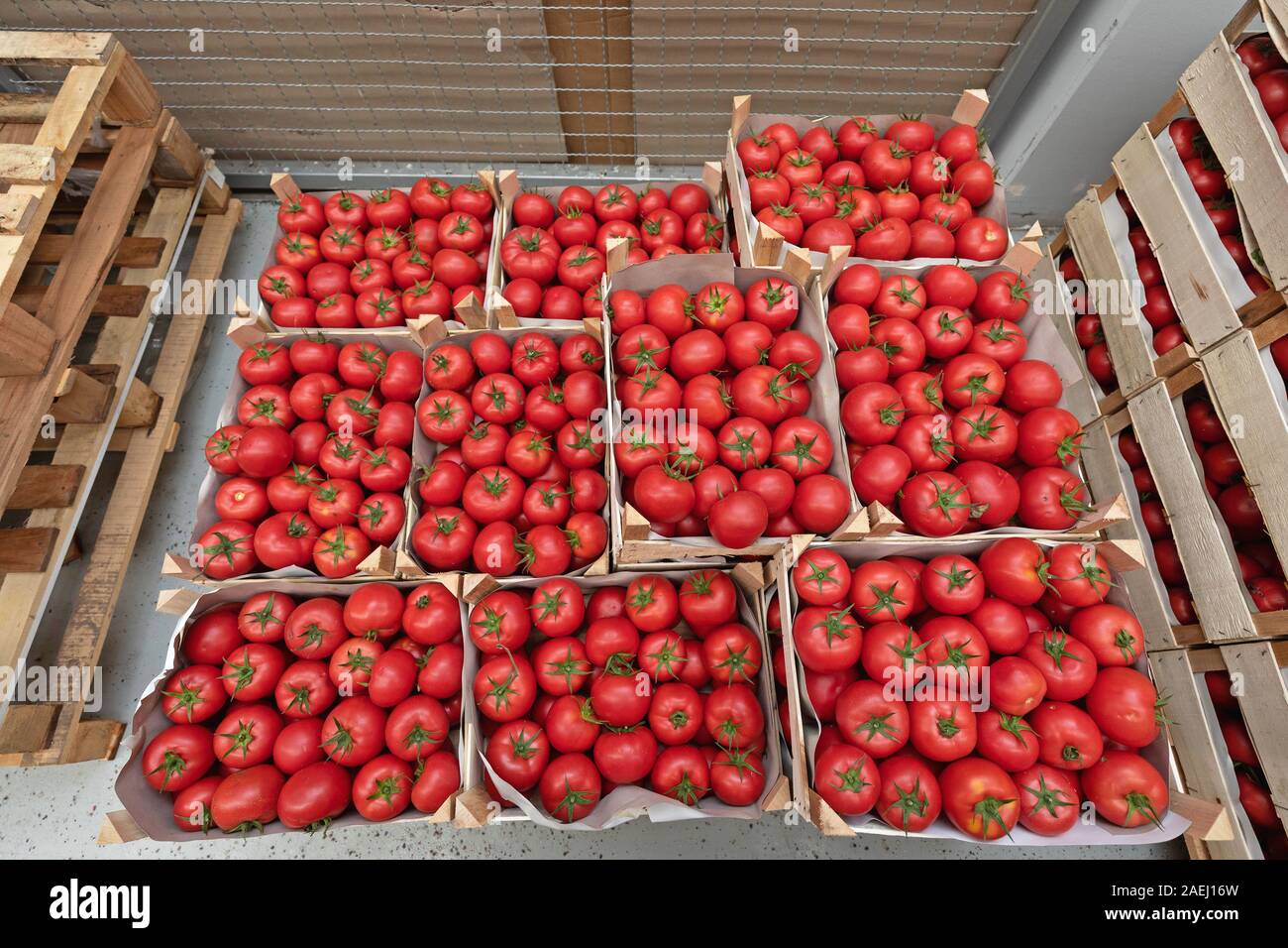 Crates of Red Tomatoes in Warehouse Storage Stock Photo - Alamy