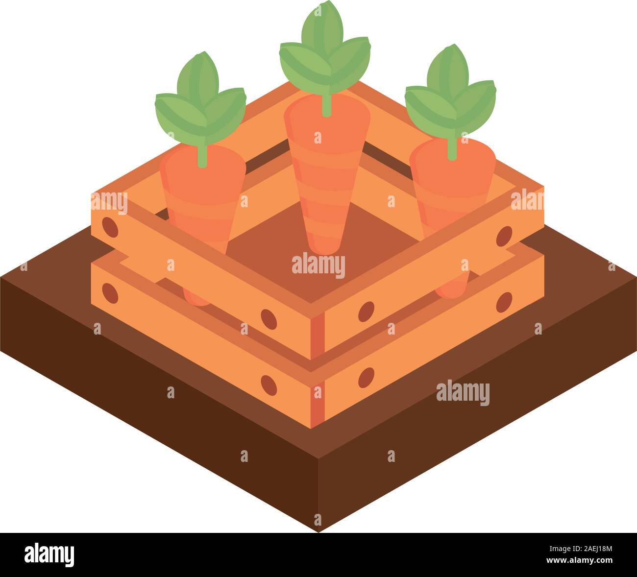 farm carrots in box harvest agriculture isometric icon vector ...