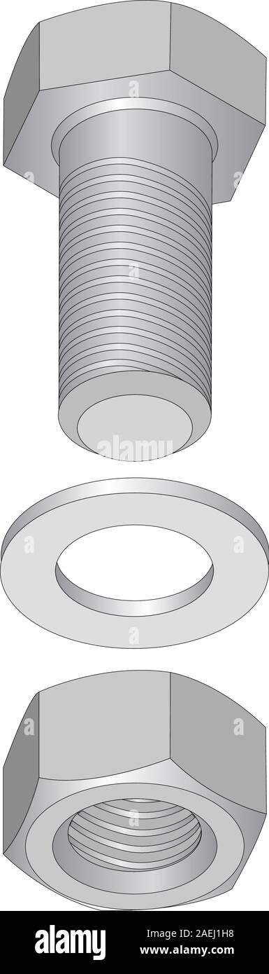 Stainless steel bolt and nut. Vector illustration Stock Vector Image ...