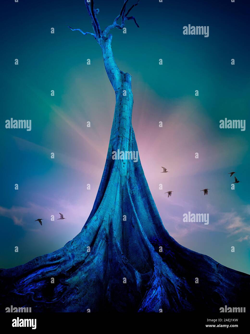 CONTEMPORARY ART: The Disappearing Light Stock Photo - Alamy