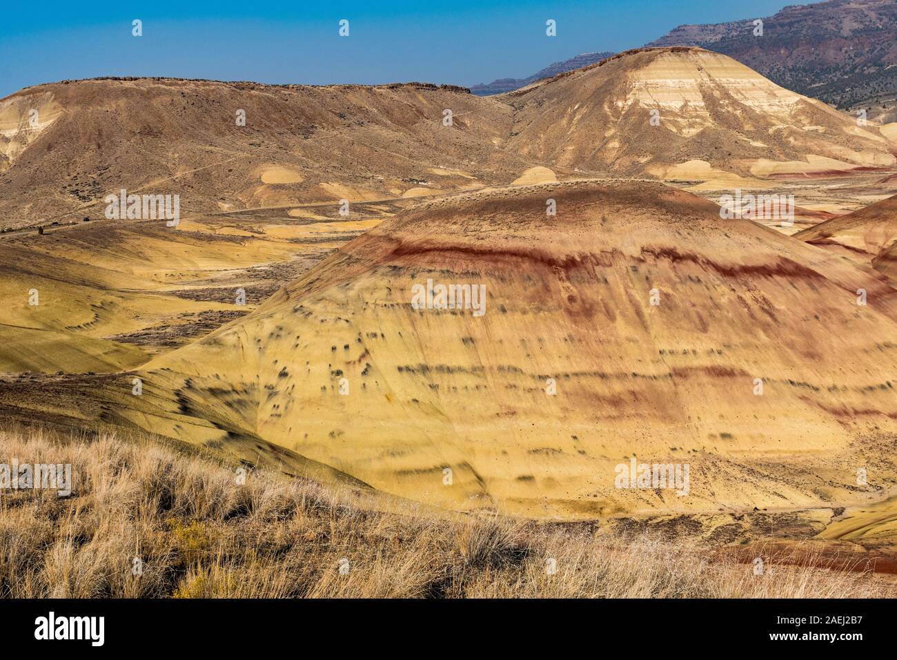 Views of the arid and colorful landscape of Painted Hills Stock Photo ...