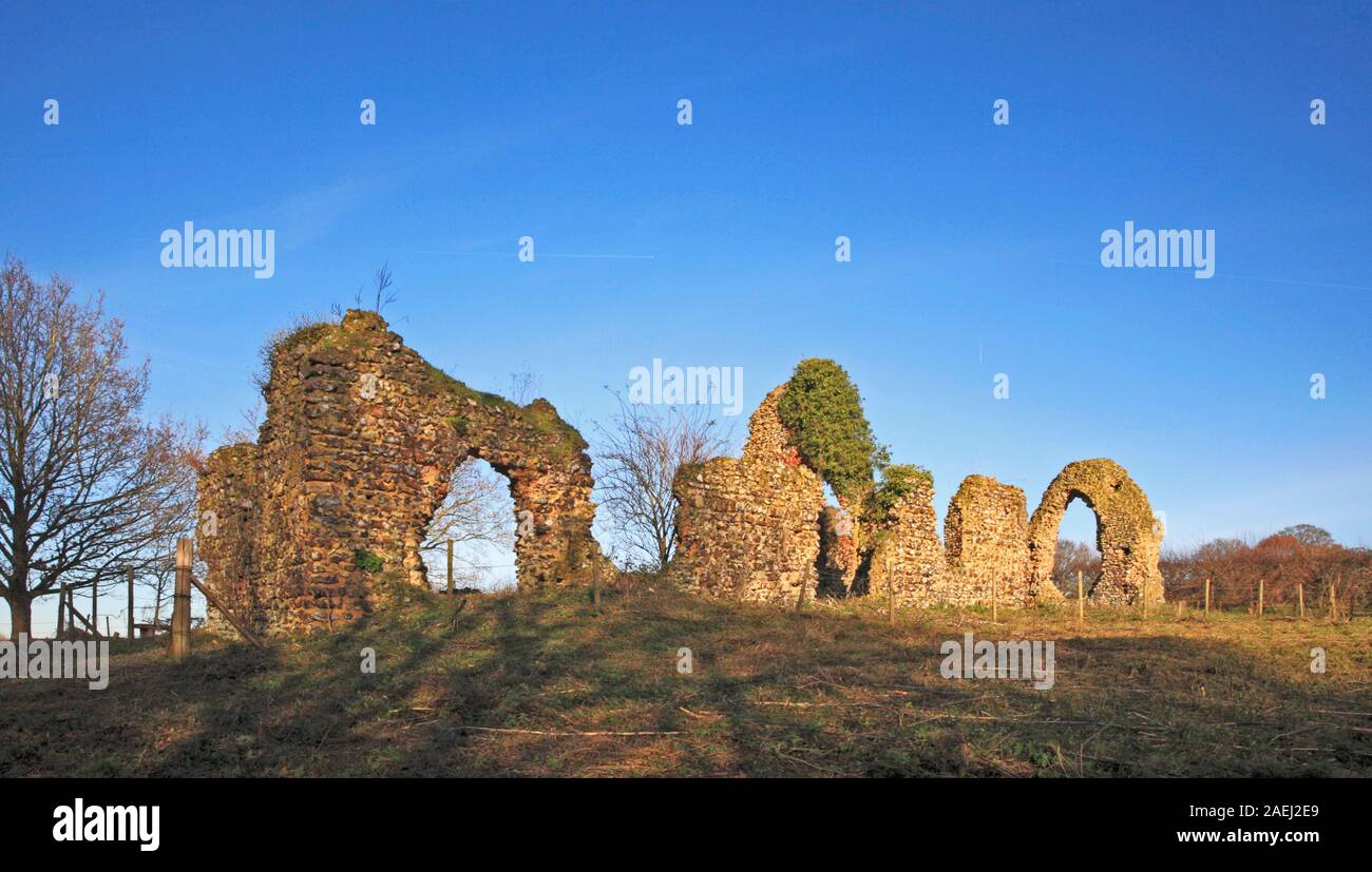 The ruins of the Church of St Saviour in South Norfolk at Surlingham ...