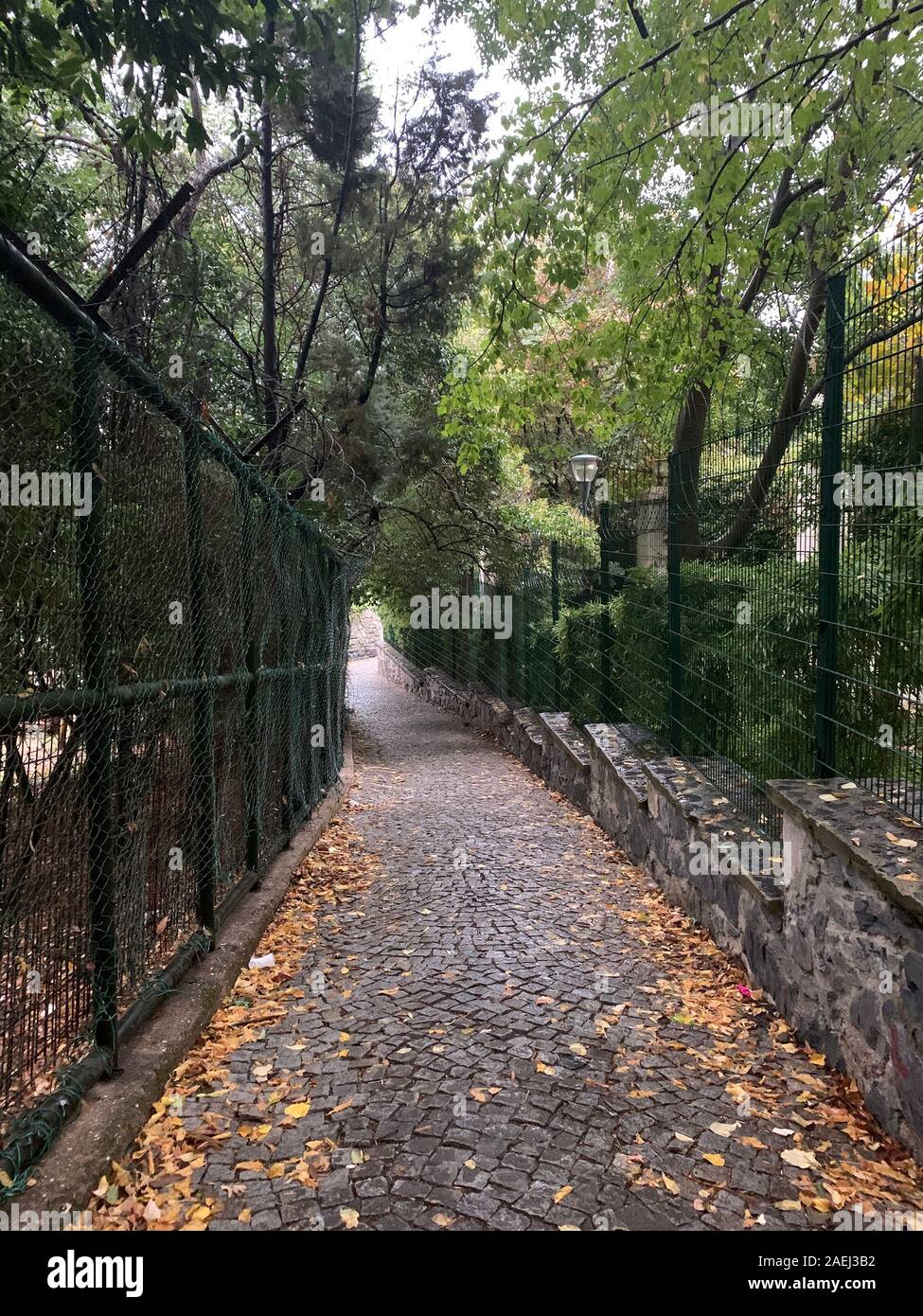 View of a little pathway in Taksim area of Istanbul in autumn Stock ...