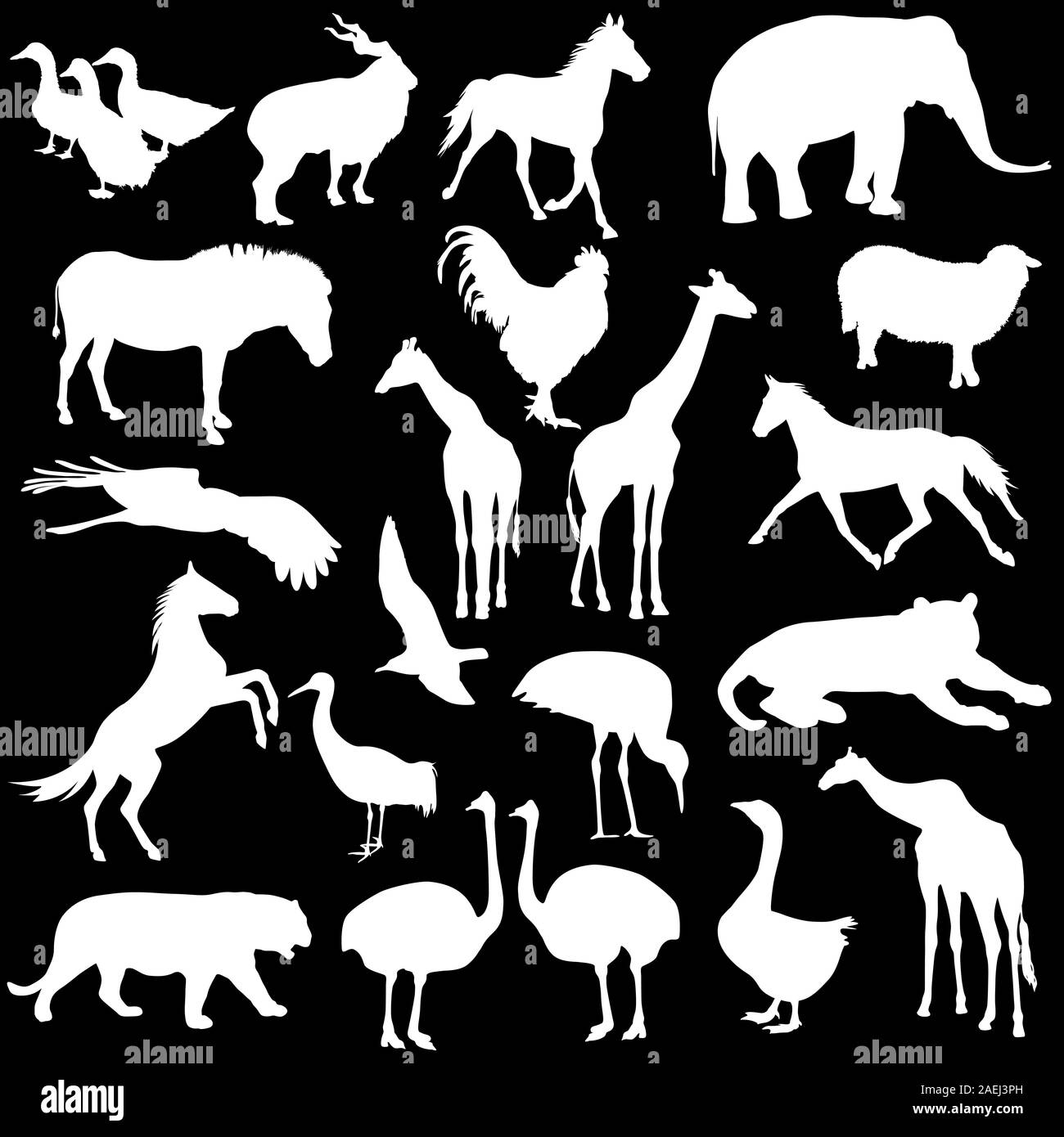 Zoo Animals Silhouette