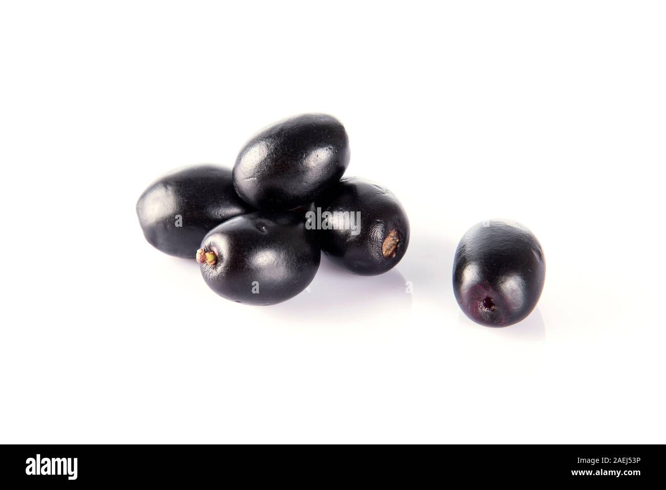 Jambolan plum or Java plum (Syzygium cumini Stock Photo - Alamy