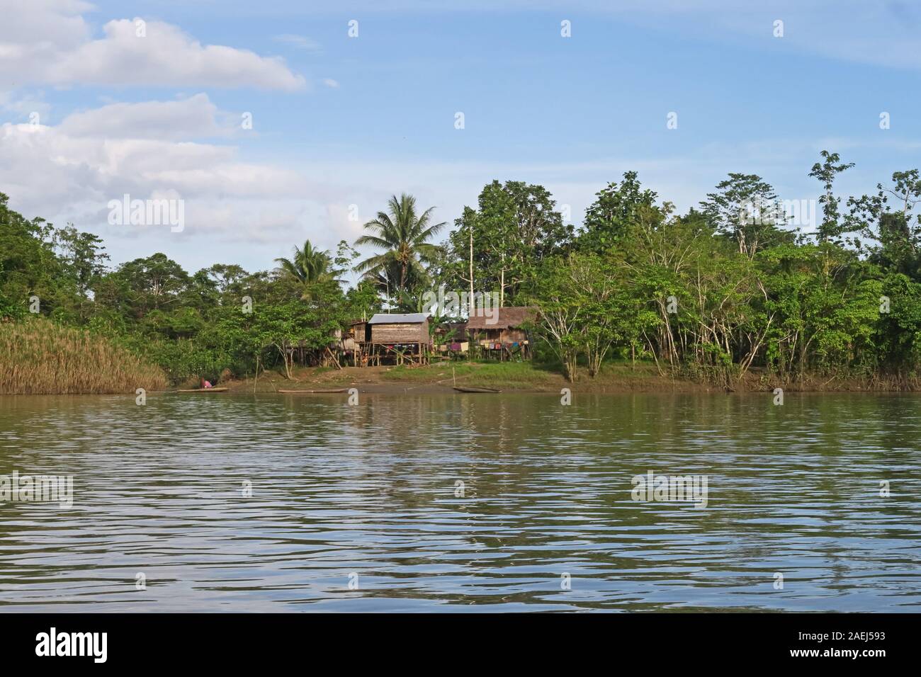 Fly river papua new guinea hi-res stock photography and images - Alamy