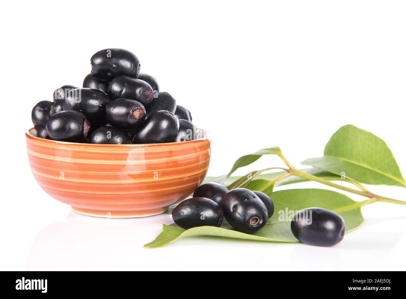 Jambolan plum or Java plum (Syzygium cumini Stock Photo - Alamy