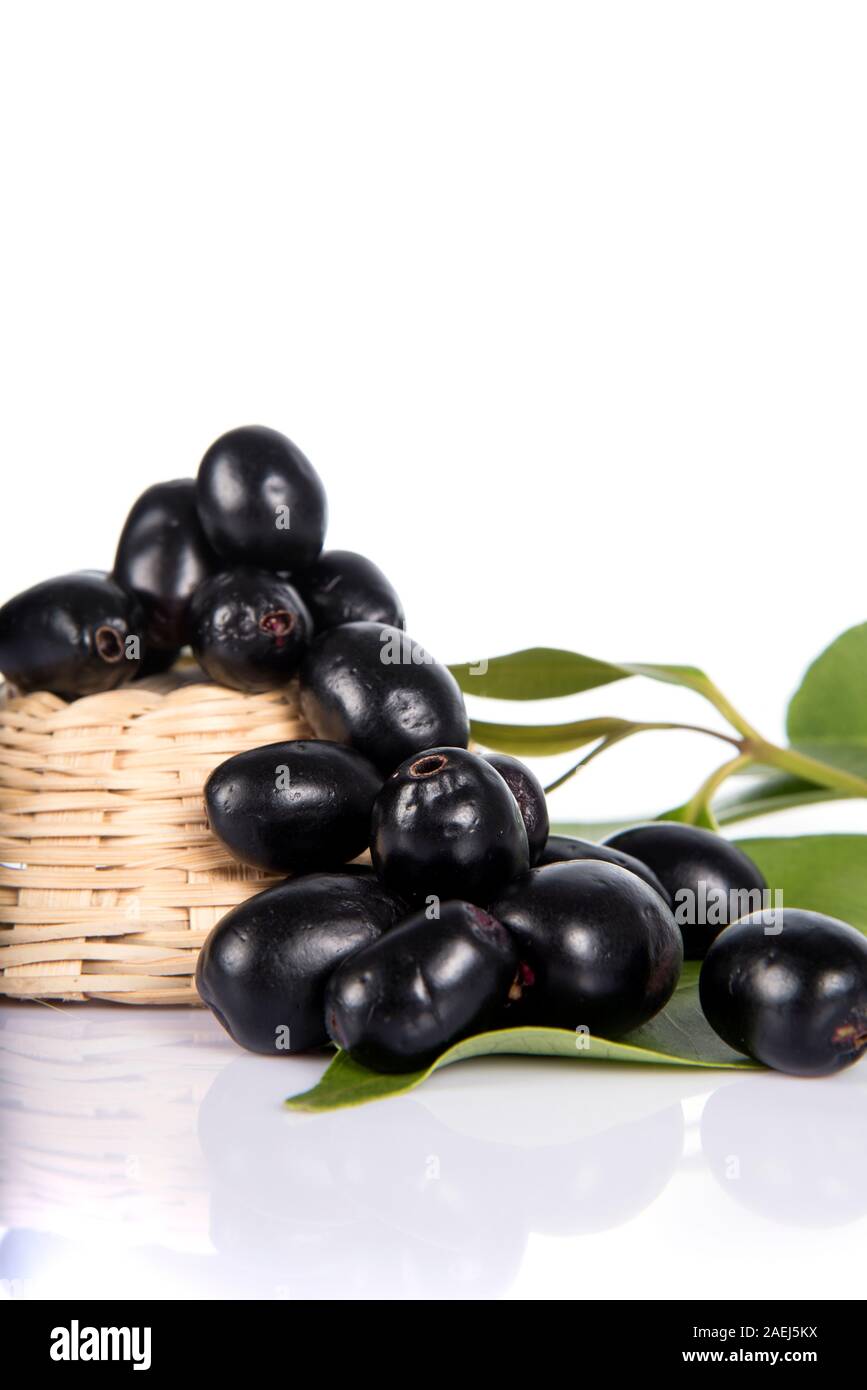 Jambolan plum or Java plum (Syzygium cumini Stock Photo - Alamy
