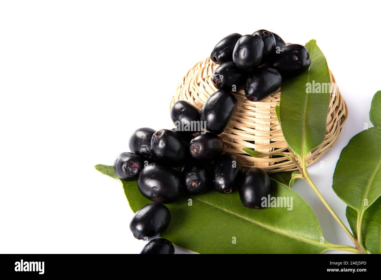 Jambolan plum or Java plum (Syzygium cumini Stock Photo - Alamy