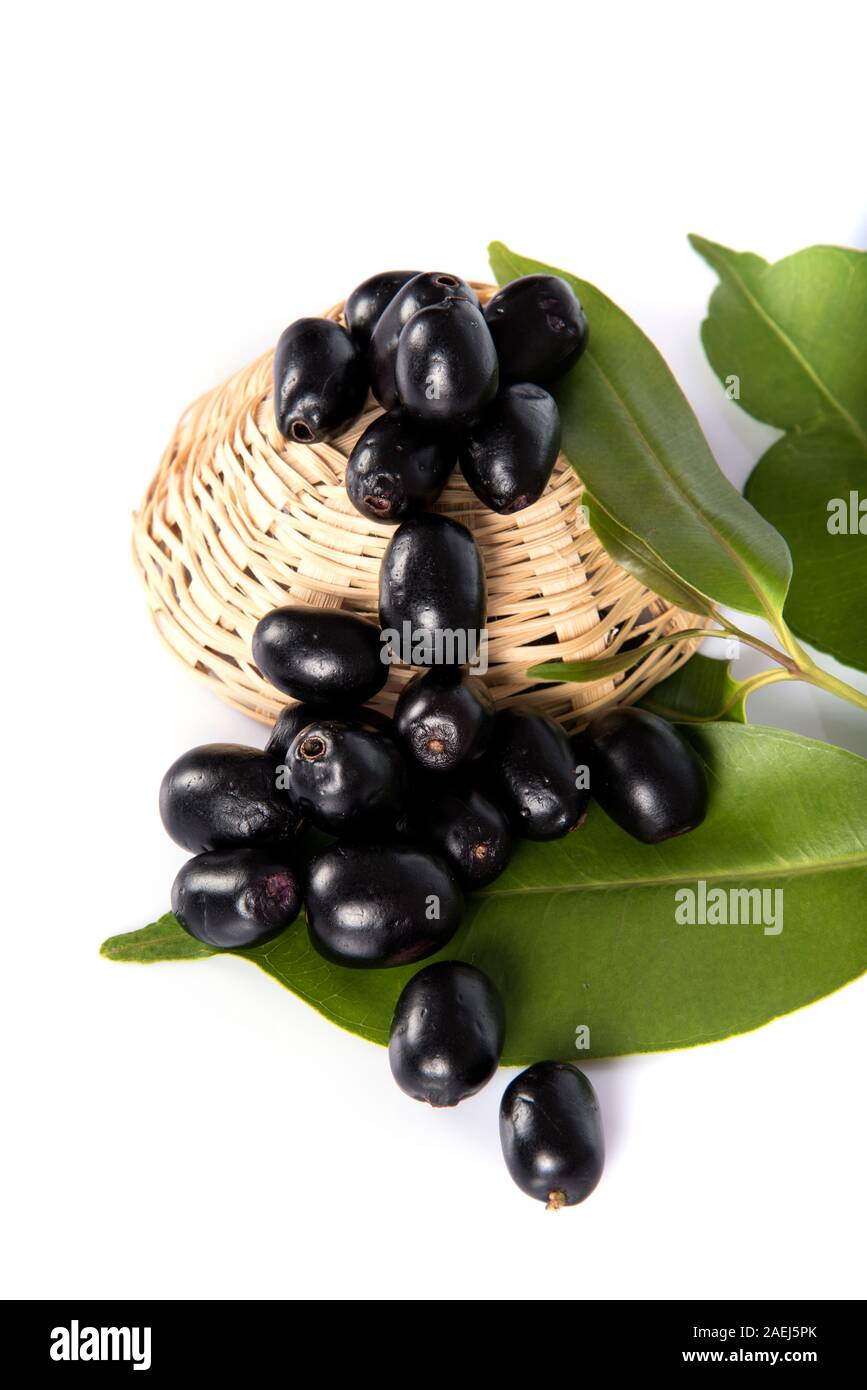 Jambolan plum or Java plum (Syzygium cumini Stock Photo - Alamy