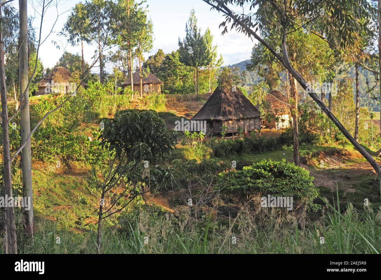 traditional smallholders houses in the mountains Wapenamanda, Papua New ...
