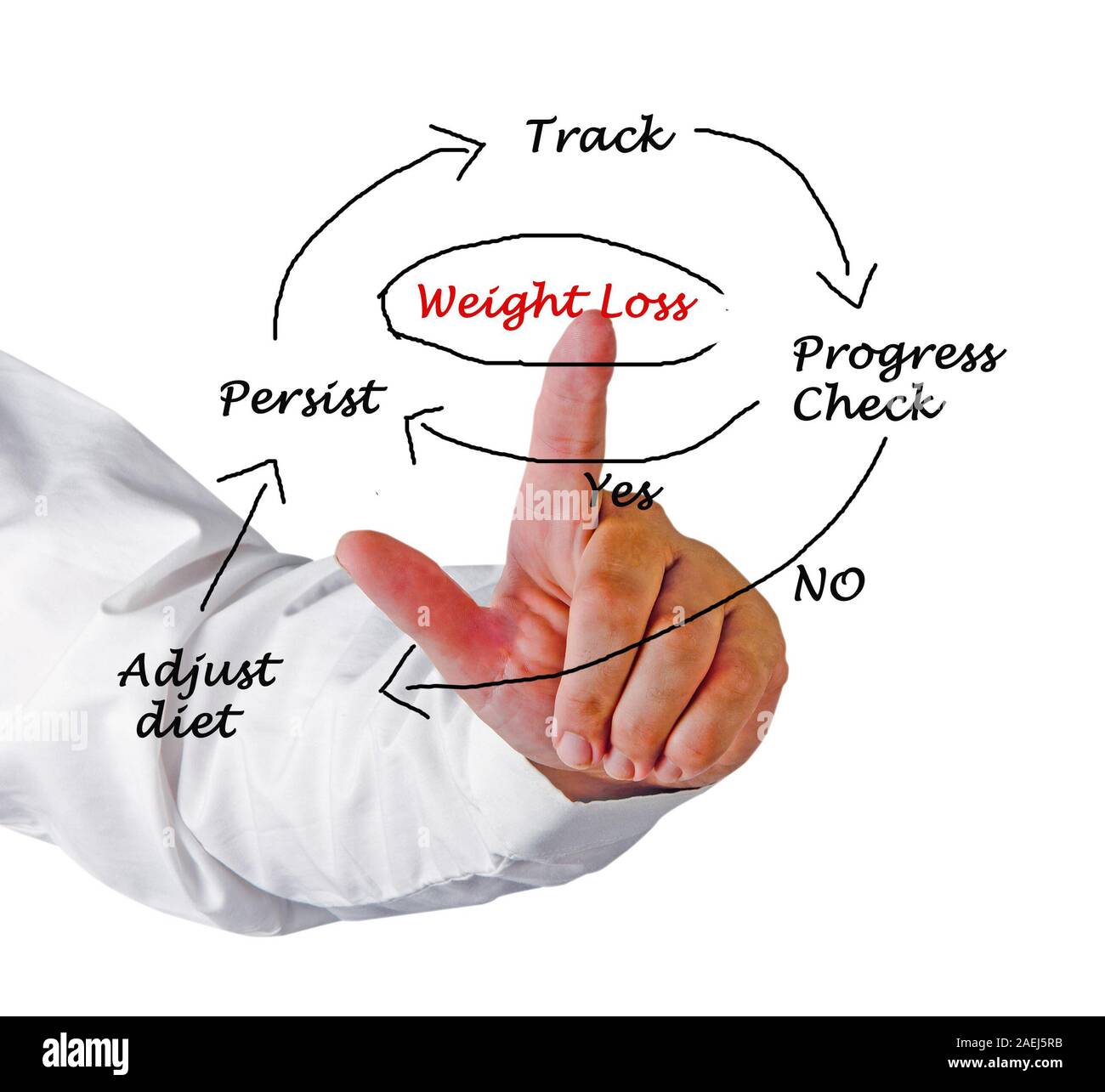 Diagram of weight loss Stock Photo - Alamy