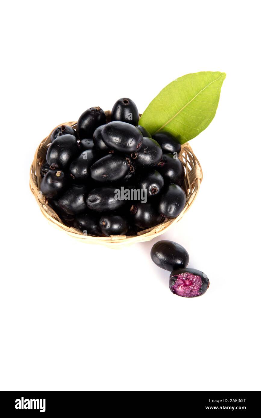 Jambolan plum or Java plum (Syzygium cumini Stock Photo - Alamy