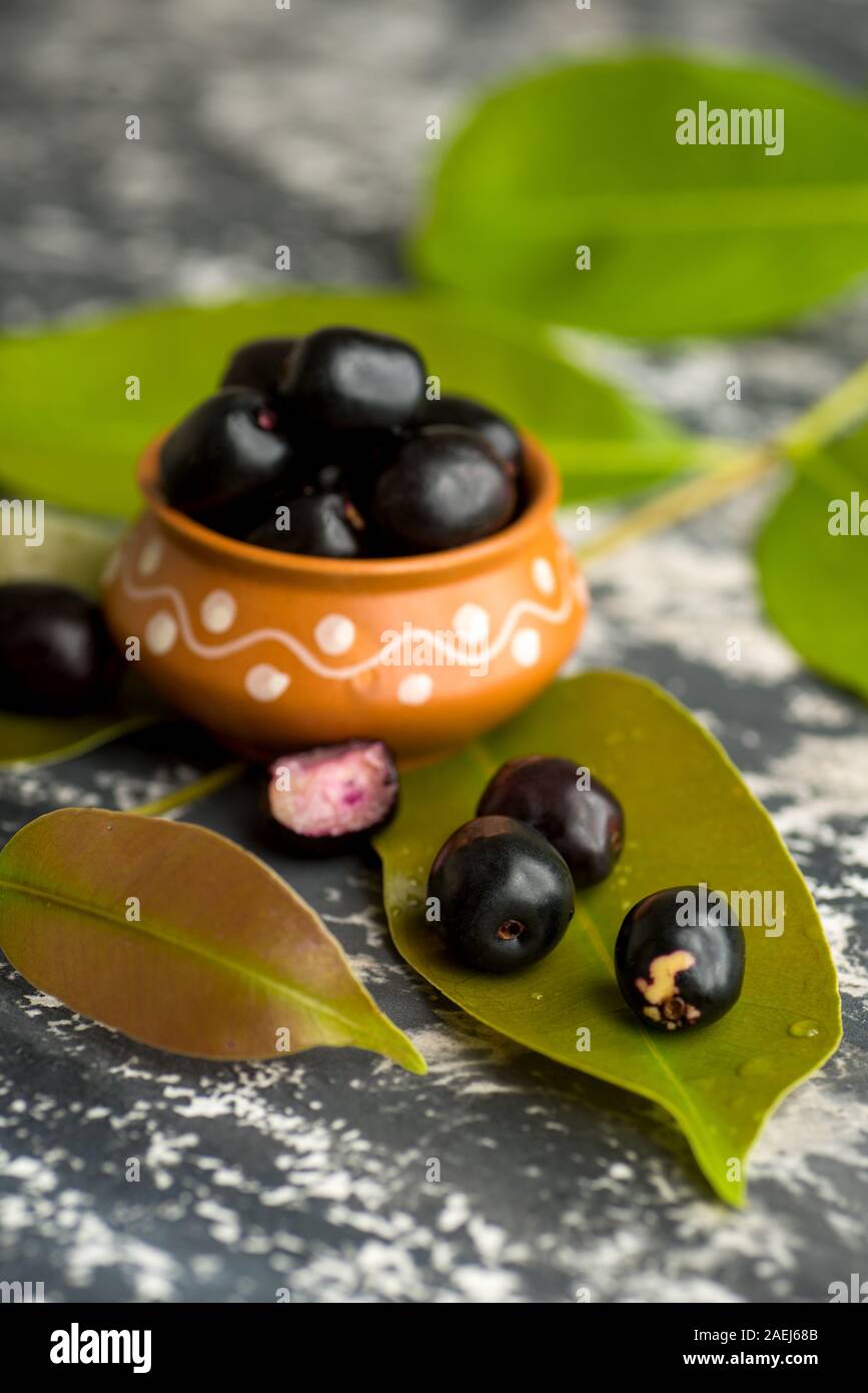 Jambolan plum or jambul or Jamun fruit, Java plum (Syzygium cumini ...