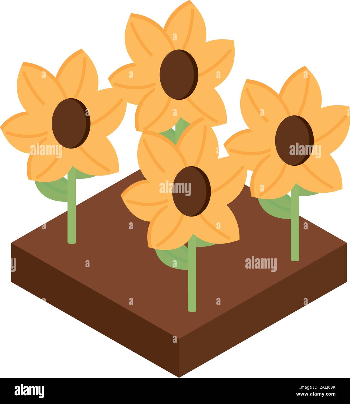 farm planting sunflower rural isometric icon vector illustration Stock ...