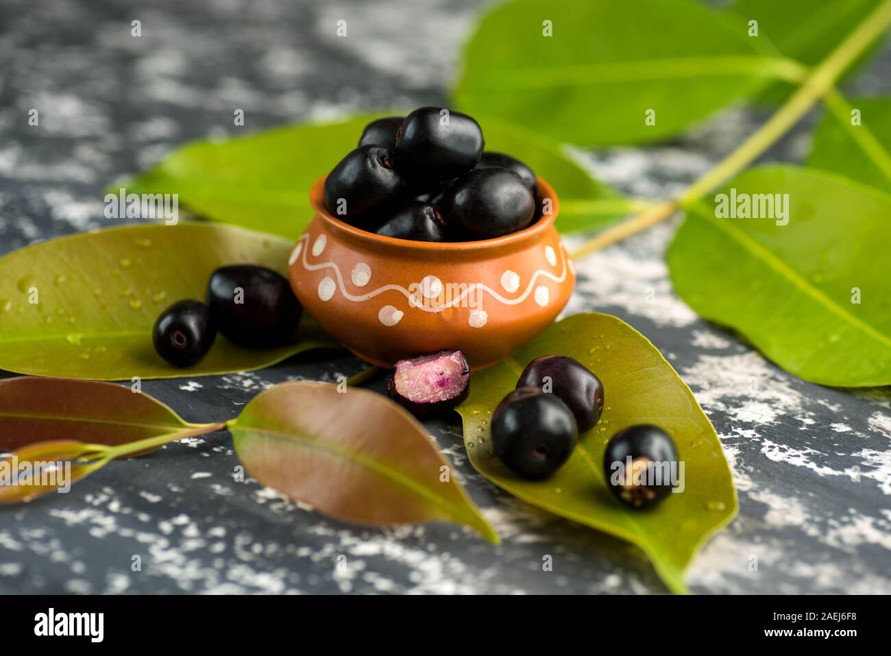 Jambolan plum or jambul or Jamun fruit, Java plum (Syzygium cumini ...