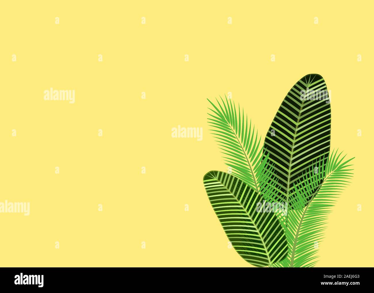 Flat lay leaves and branches of palm trees Stock Vector Image & Art - Alamy