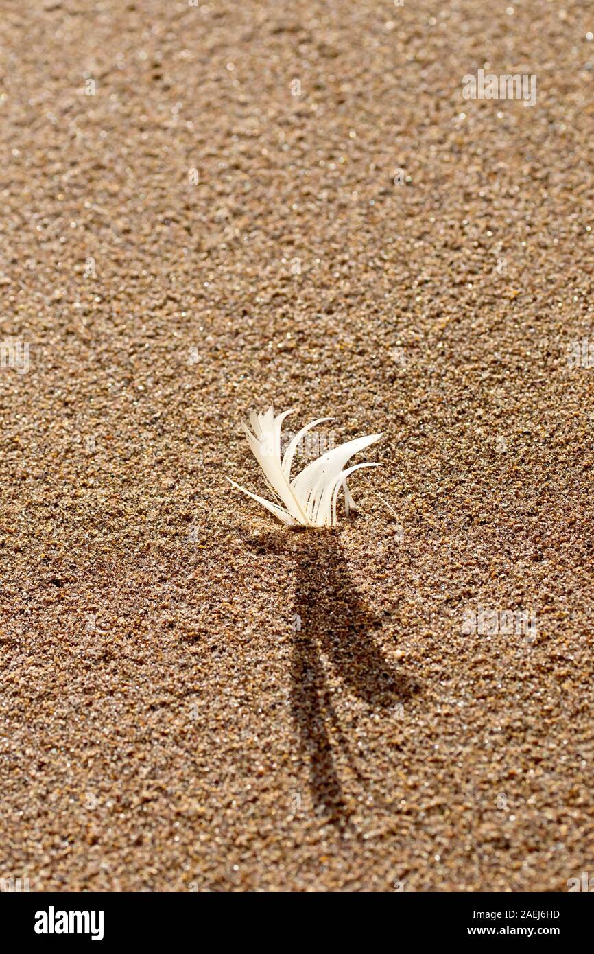 Has half buried in the sand hi-res stock photography and images - Alamy