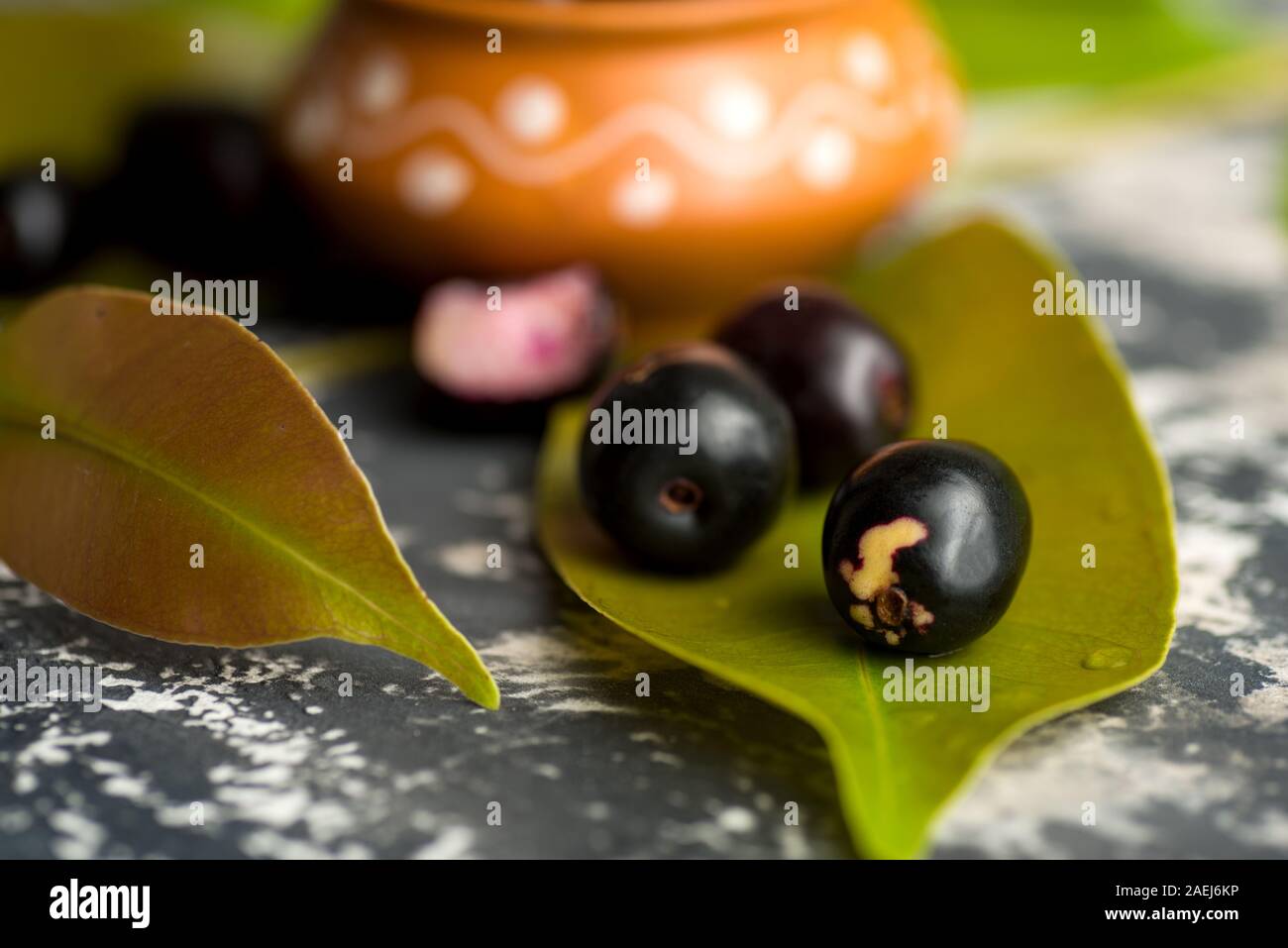Jambolan plum or jambul or Jamun fruit, Java plum (Syzygium cumini ...