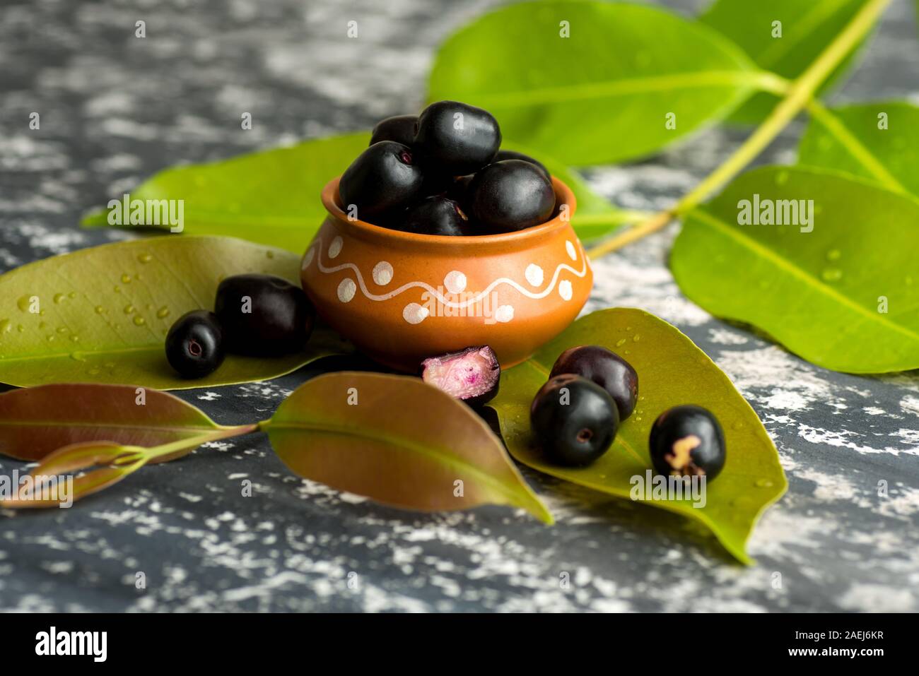 Jambolan plum or jambul or Jamun fruit, Java plum (Syzygium cumini ...