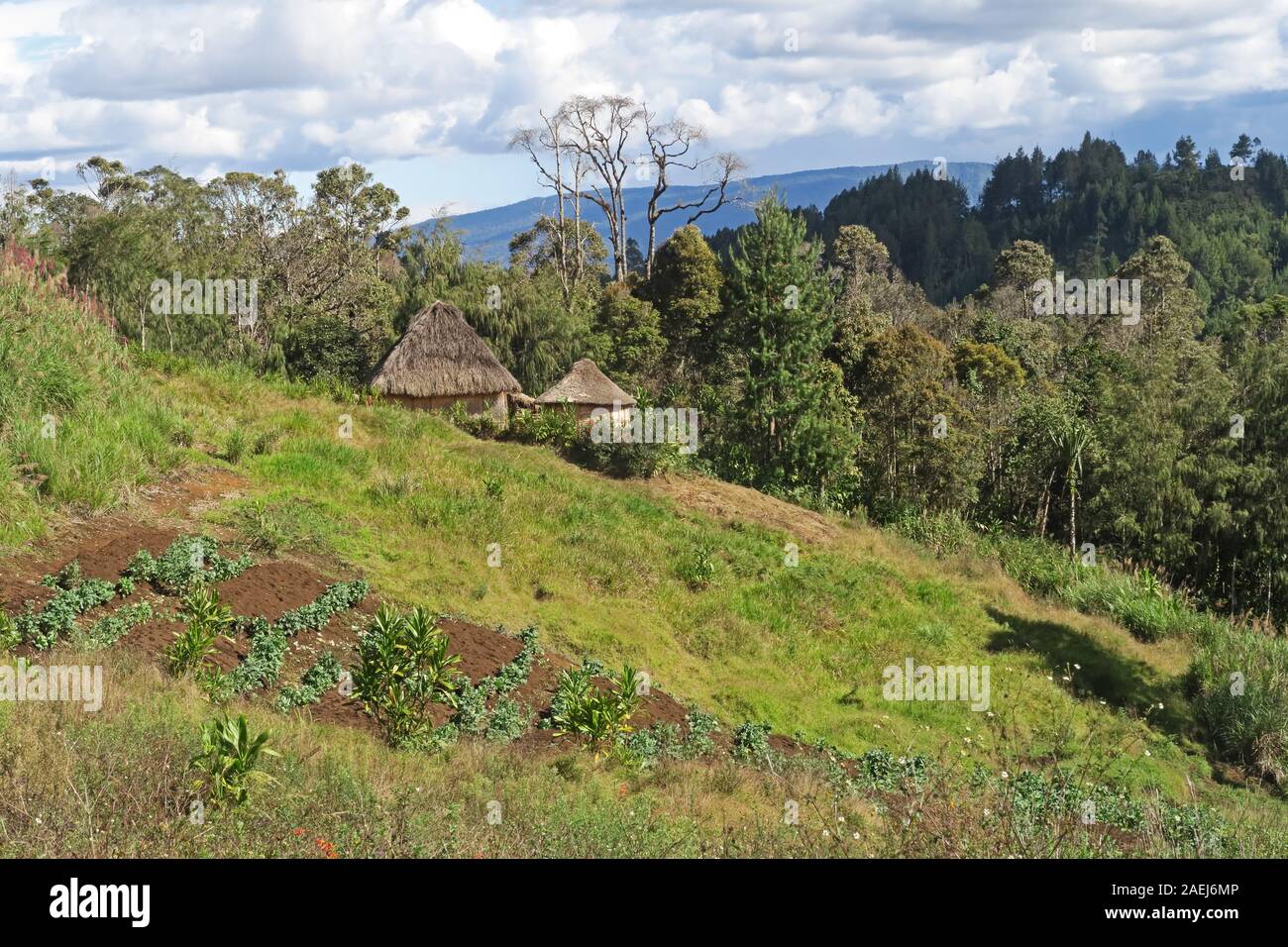 traditional farmers house in the mountains, with vegetable beds ...