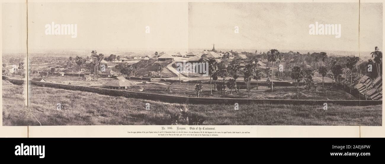 Tripe linnaeus hi-res stock photography and images - Alamy