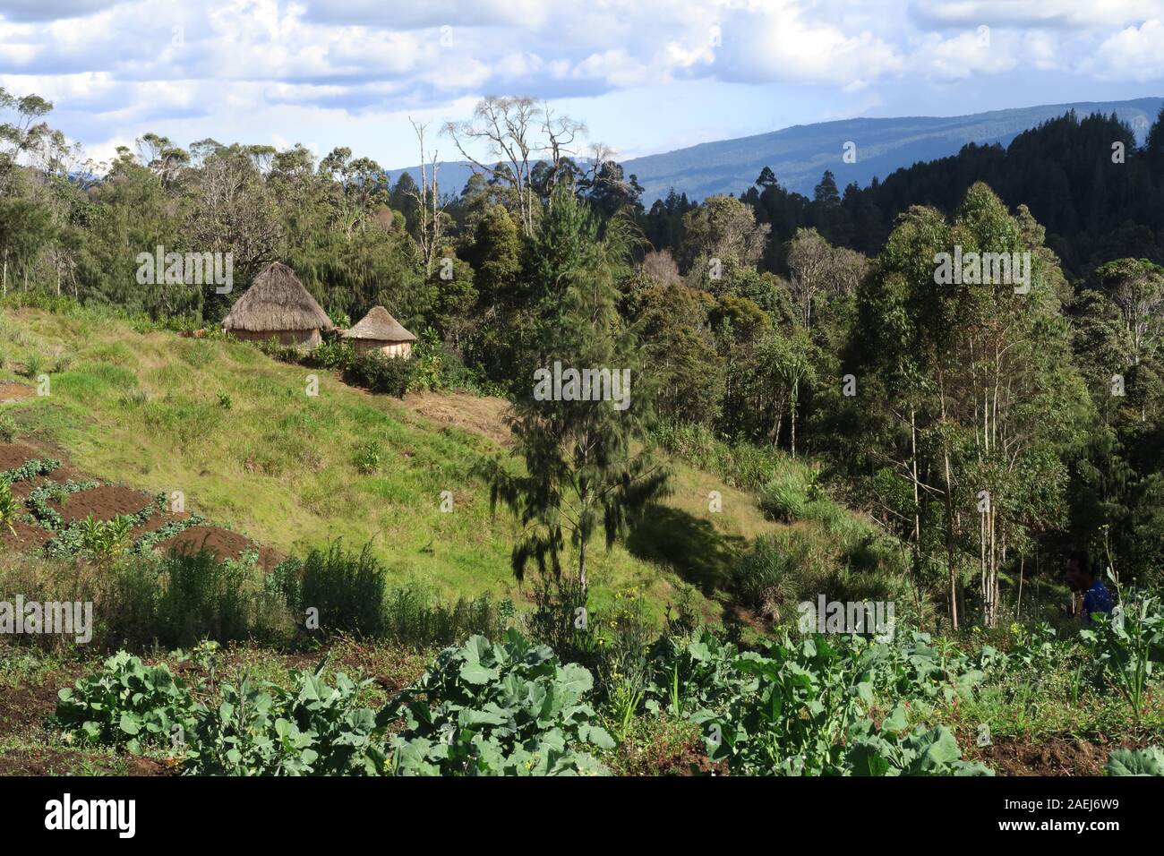 traditional farmers house in the mountains Wapenamanda, Papua New ...