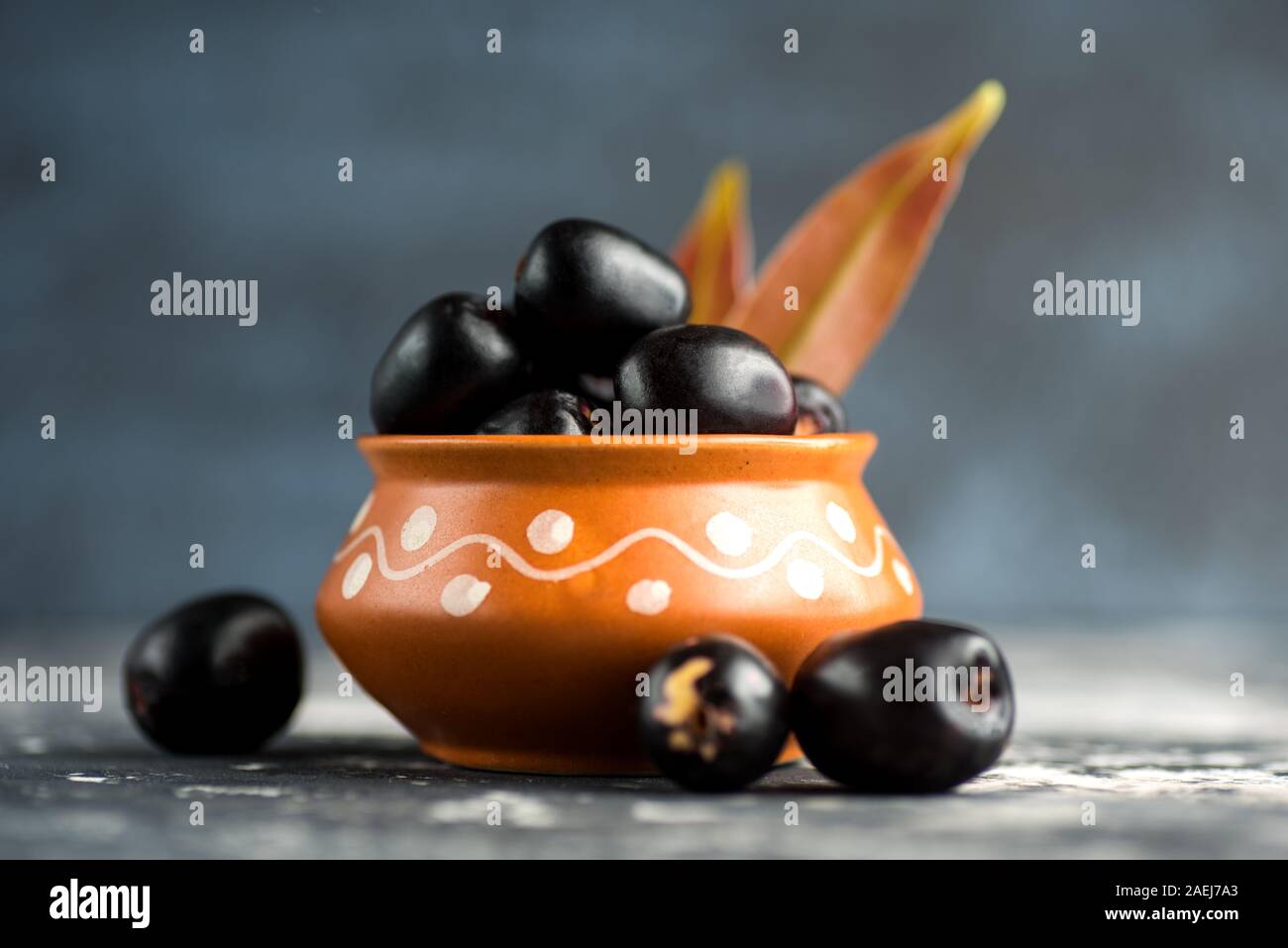 Jambolan plum or jambul or Jamun fruit, Java plum (Syzygium cumini ...