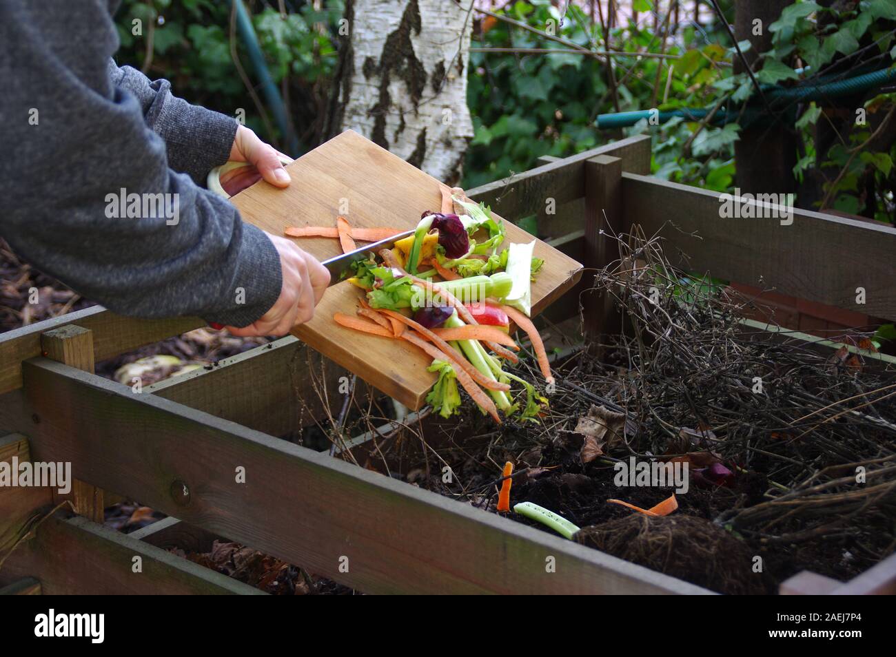 Ecology compost supply - kitchen waste recycling in backyard composter ...