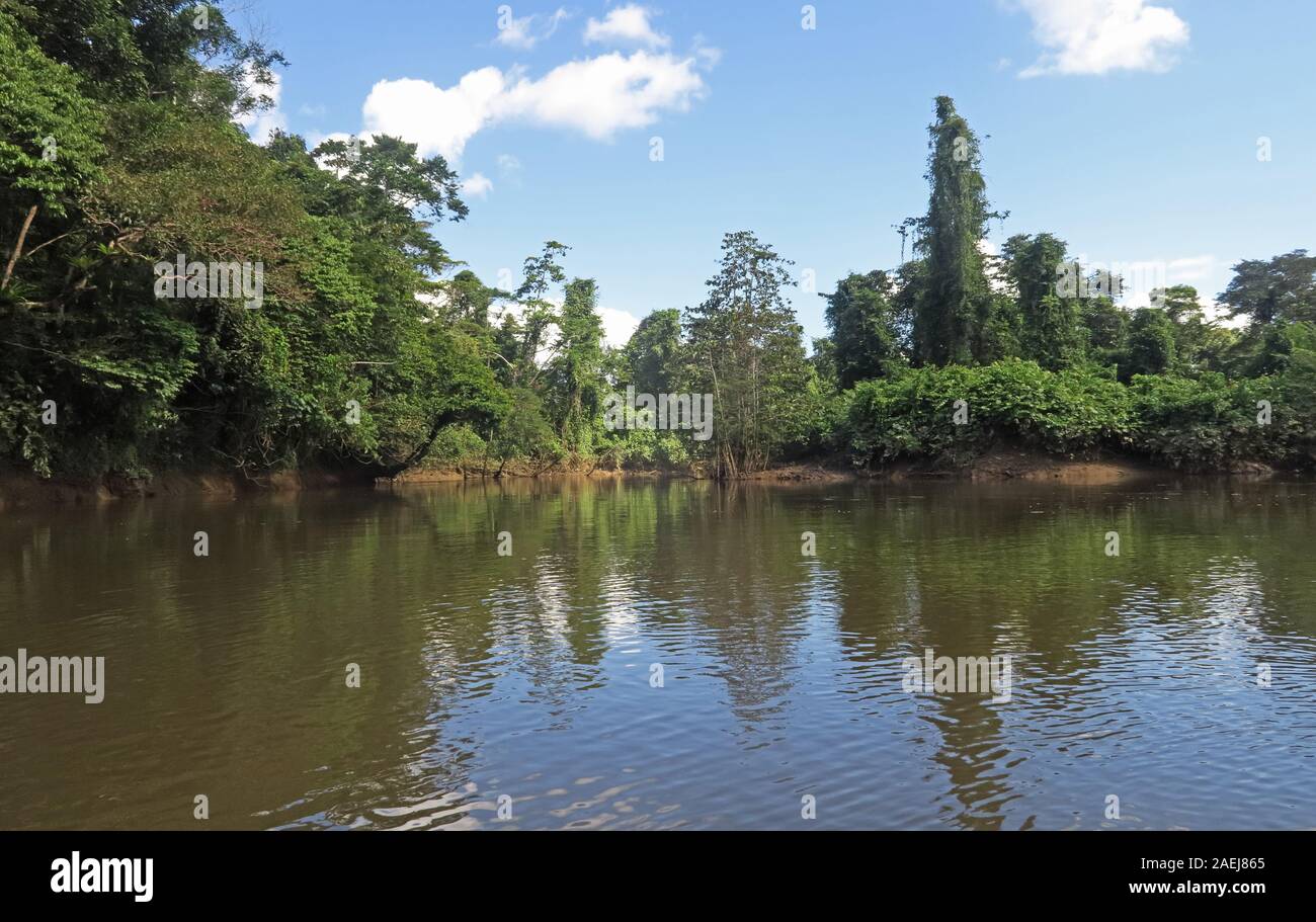 Fly river papua new guinea hi-res stock photography and images - Alamy