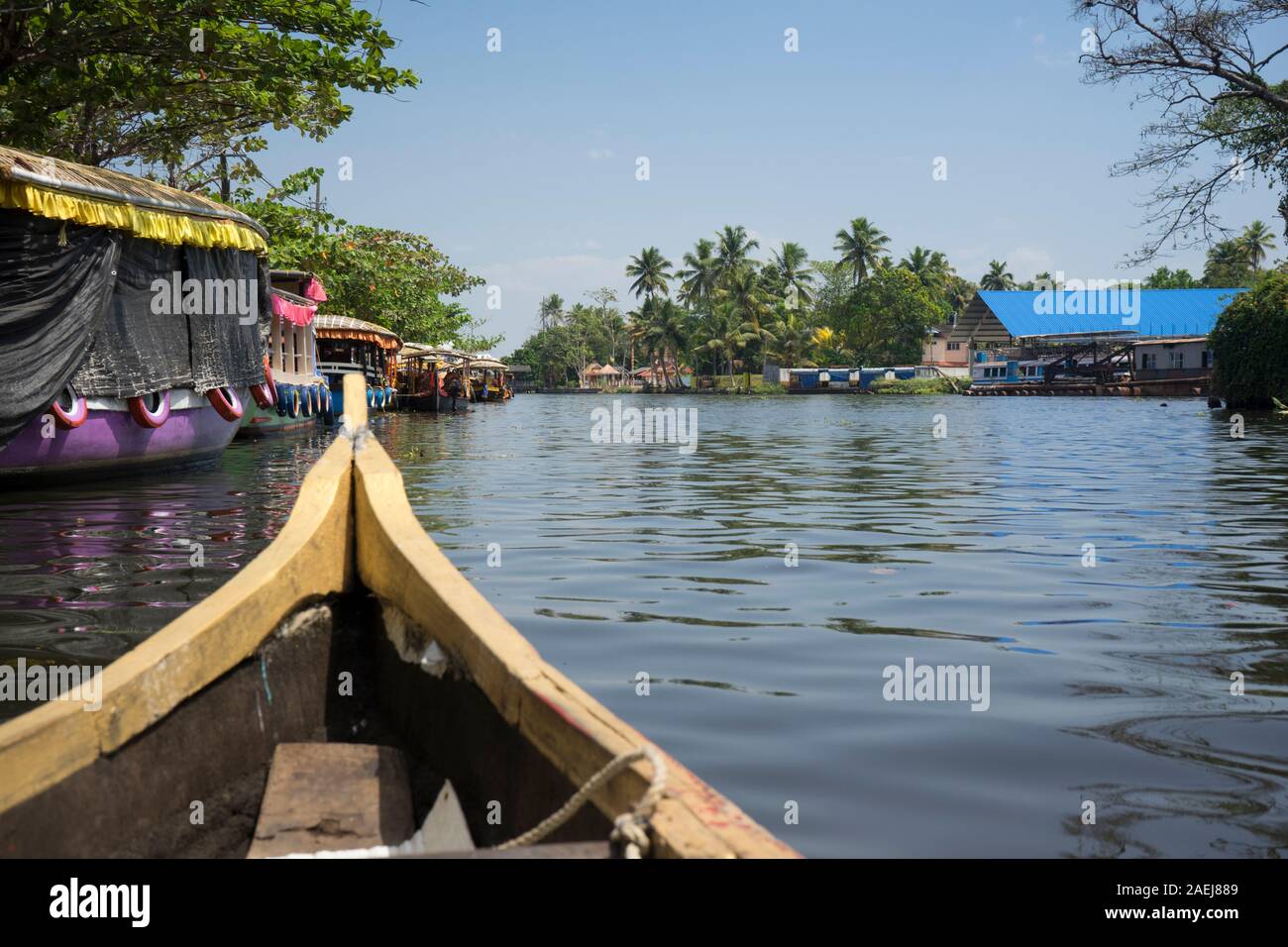 Exploring the Alleppey Backwaters, Kerala, India Stock Photo - Alamy