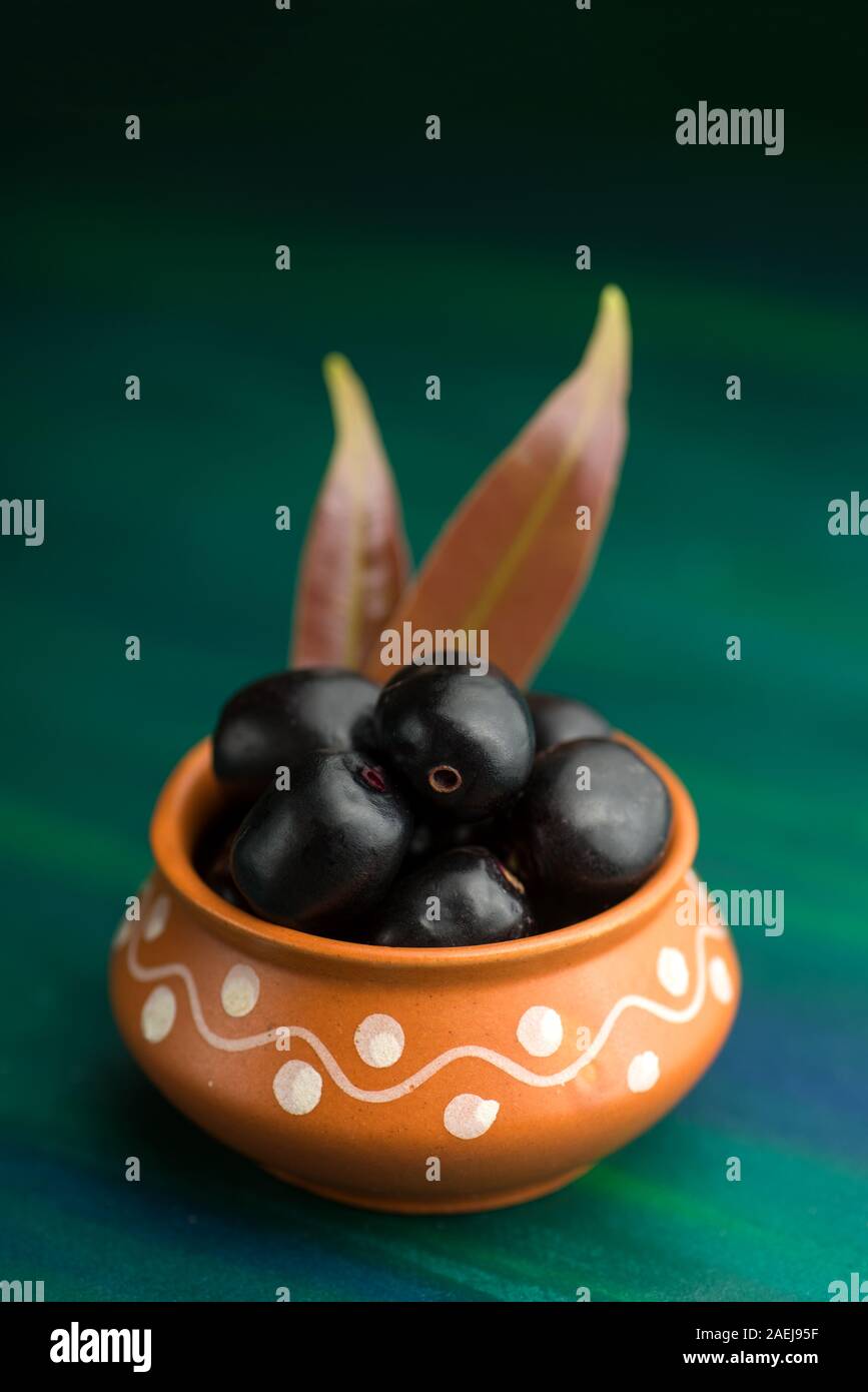 Jambolan plum or jambul or Jamun fruit, Java plum (Syzygium cumini) on ...