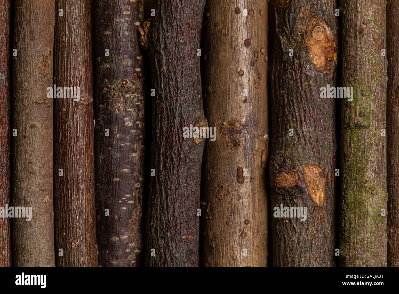 wooden sticks in a row Stock Photo - Alamy