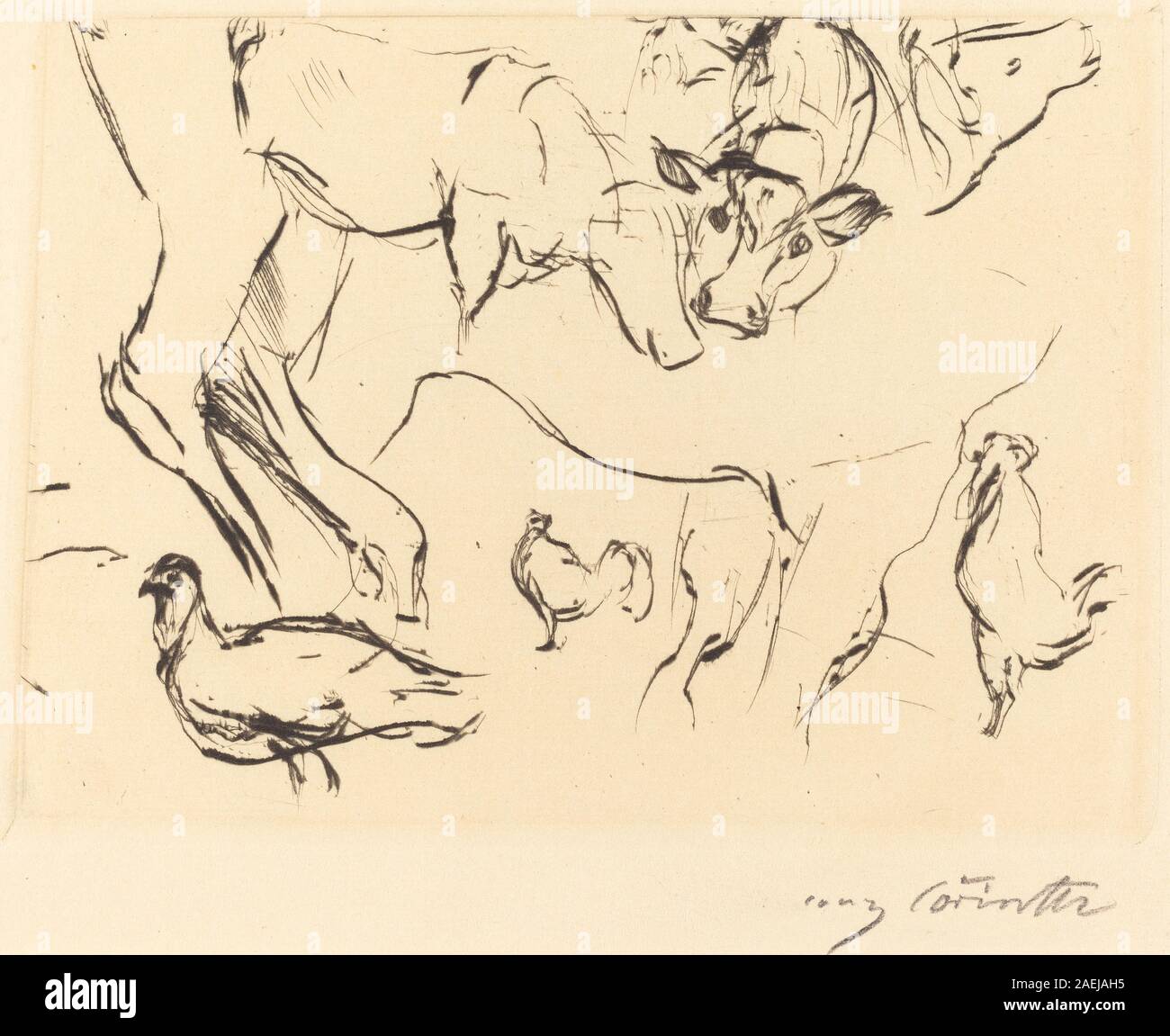 Drawing by Lovis Corinth, 1917, showing various animal studies ...