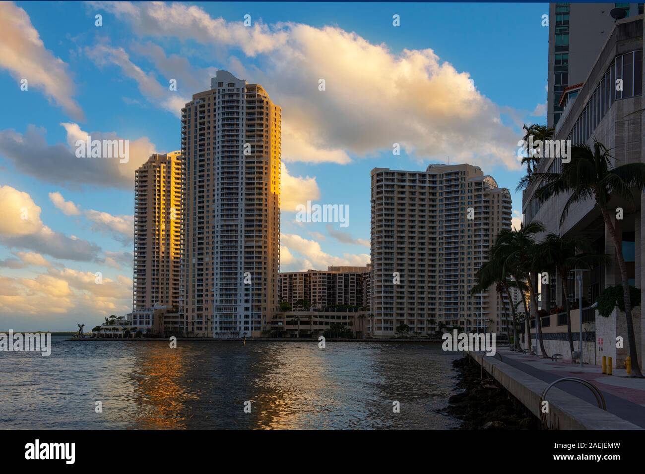 Riverside Walk, Miami, with palm trees and tall buildings reflecting in ...