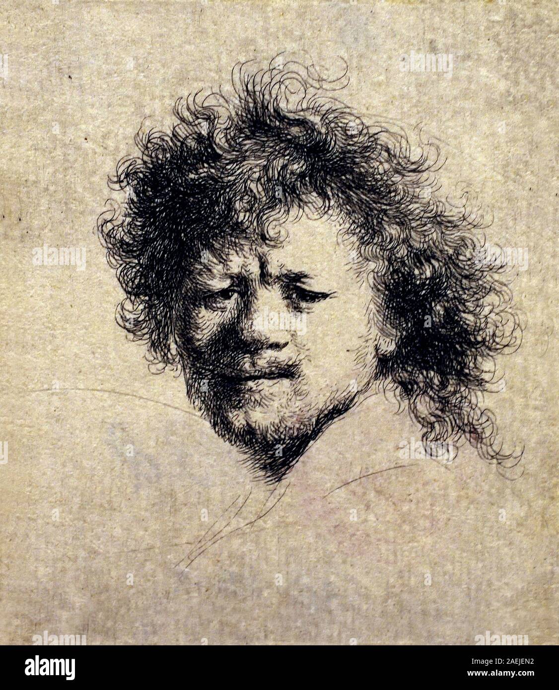 Self portrait with face in shadow 1633 rembrandt hi-res stock ...