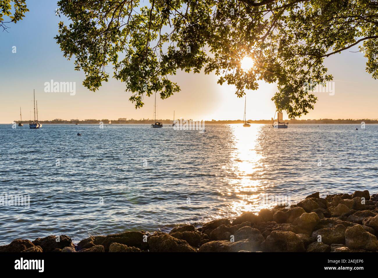 Sunset Over the Sarasota Bay as seen from the Bayfront Park in Sarasota ...