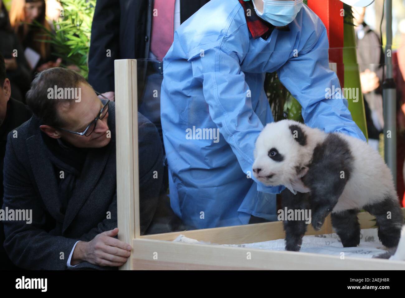 Germany, Berlin, 09/12/2019, Michael Müller in the Panda-Garden. The ...