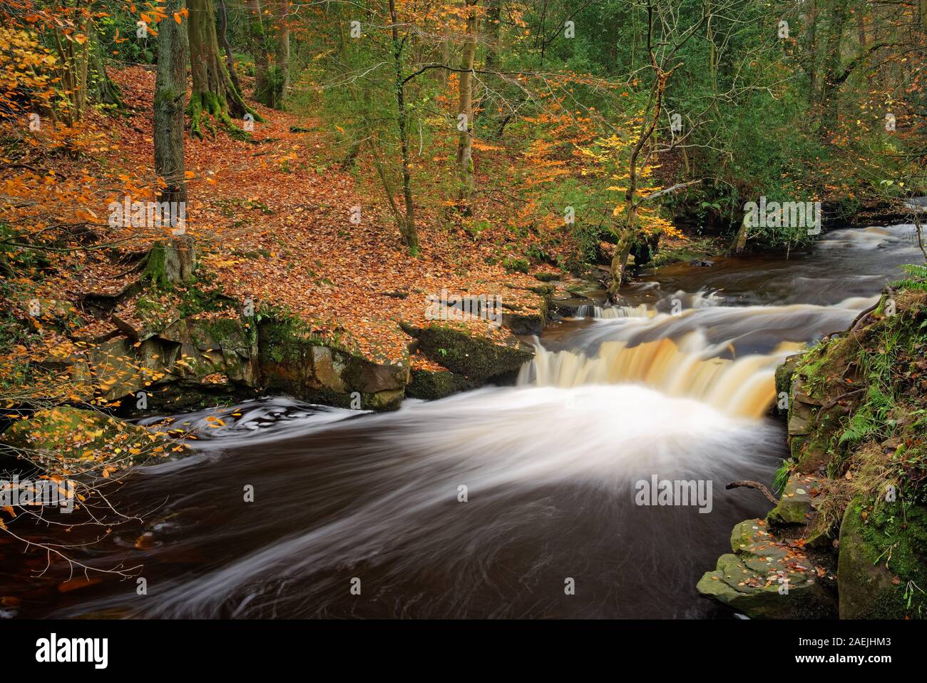 UK,South Yorkshire,Sheffield,River Rivelin Waterfalls in Autumn Stock ...