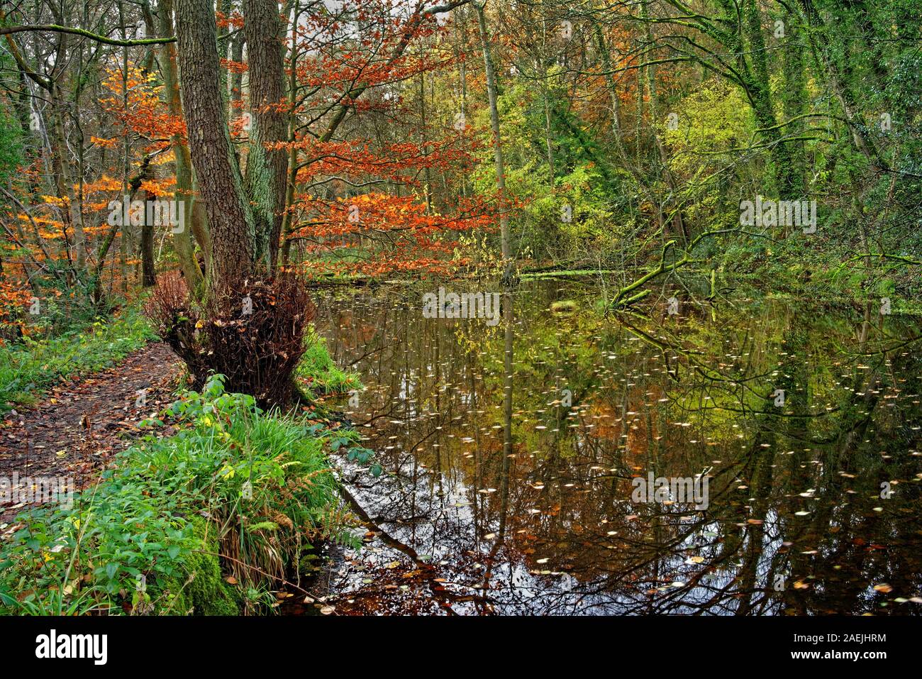 Rivelin old mill hi-res stock photography and images - Alamy