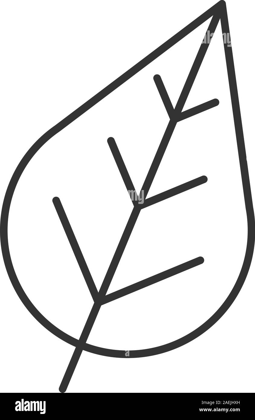 Leaf linear icon. Сontour symbol. Ecology thin line illustration ...